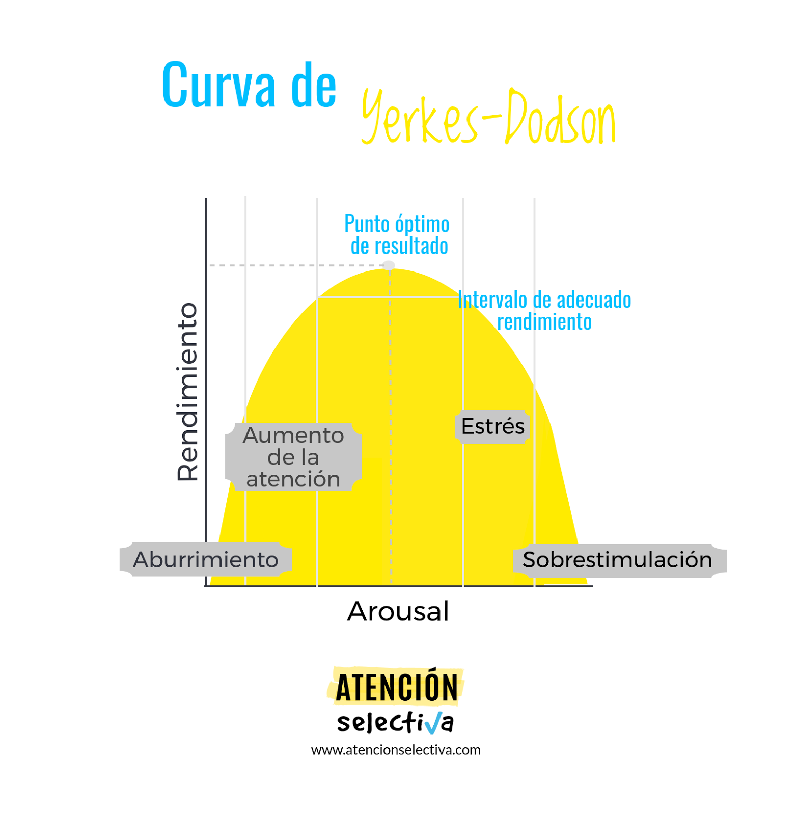 Arousal y atención selectiva en la infancia - Atención selectiva