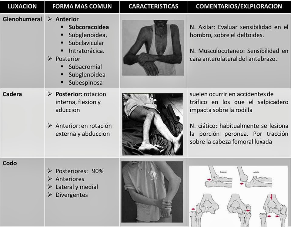 F/SLAOT - Federación de Sociedades y Asociaciones Latinoamericanas de ...