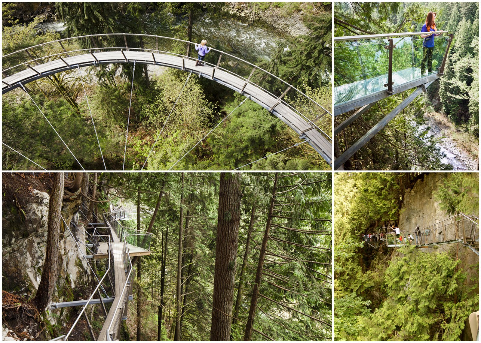 Like A Fat Kid Loves Cake: Capilano Suspension Bridge