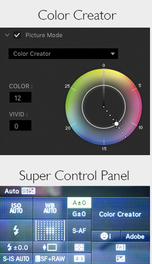 VideoPic Blog: Olympus Color and Creative Photography - Part 6