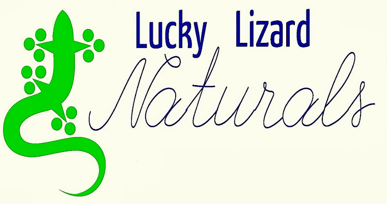 Lucky Lizard Naturals: What's up Lizard?