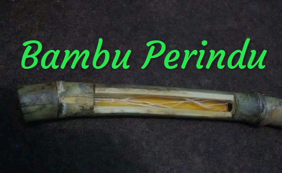 √ [BULUH] Perbedaan Bulu dan Bambu Perindu - BRAJANG BLOG
