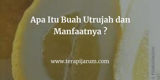 Apa Itu Buah Utrujah dan Manfaatnya ? - Terapi Jarum