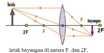 Diagram Pembentukan Bayangan pada Kamera dan Mata | MiniNote