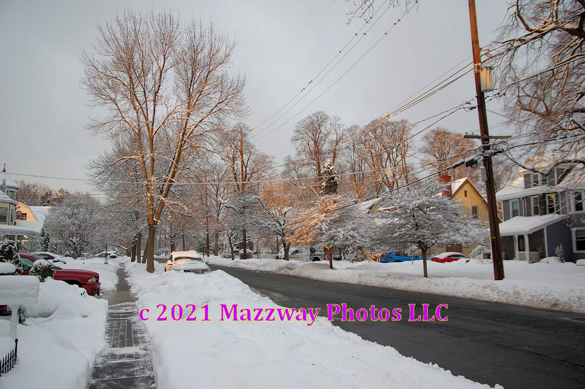 Bogota Blog NJ: Sunday Snow