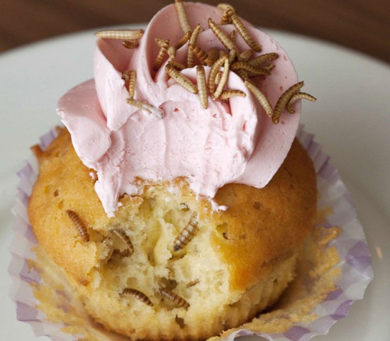 TELENET INFOS: Gâteaux crèmes aux insectes