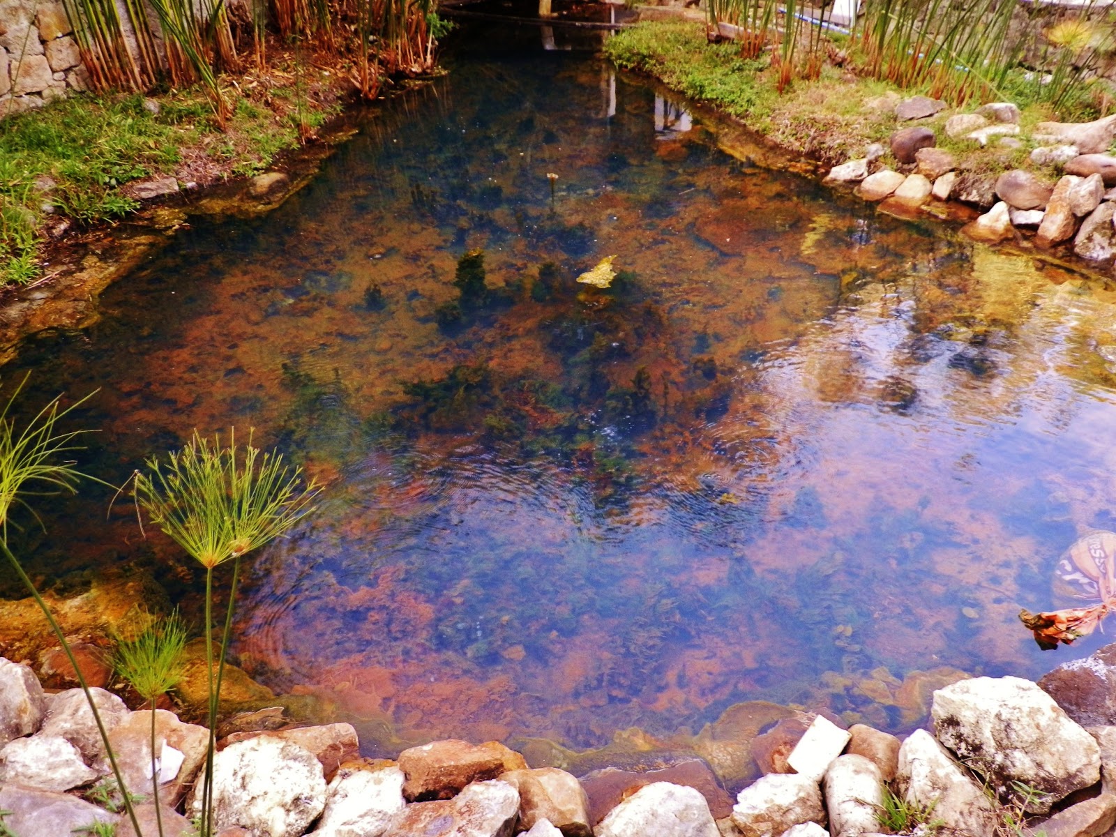 THE VOLCANOES HOT SPRINGS IN CHOCONTA, COLOMBIA, A PLACE WHERE THE GOOD ...