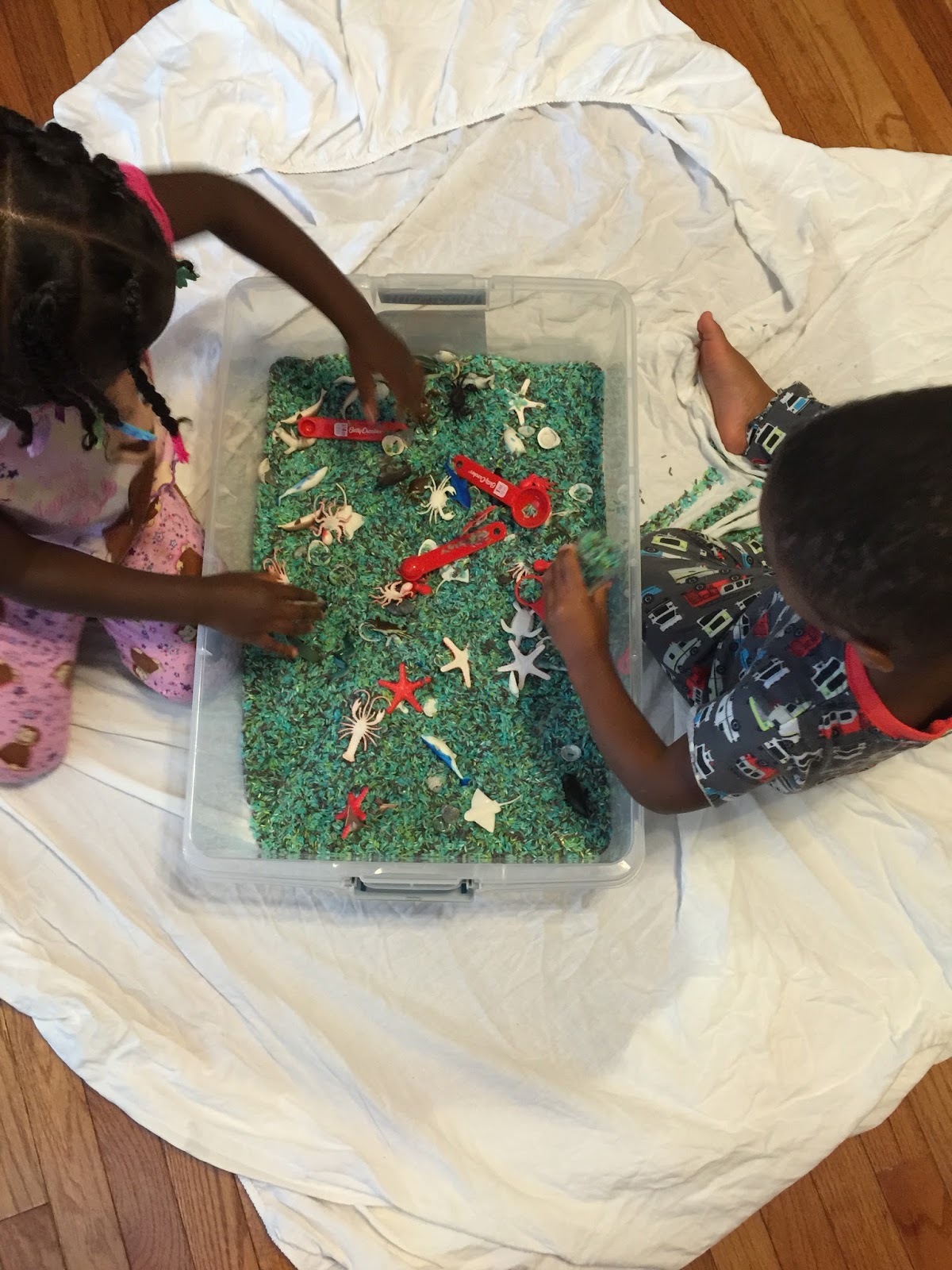 White Sugar, Brown Sugar: Colored Rice Sensory Bin