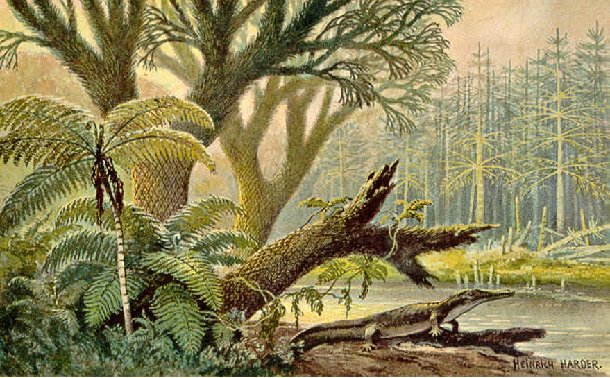 Mi Geoblog: Geologia y más: LOS GRANDES REPTILES ACORAZADOS DEL ...