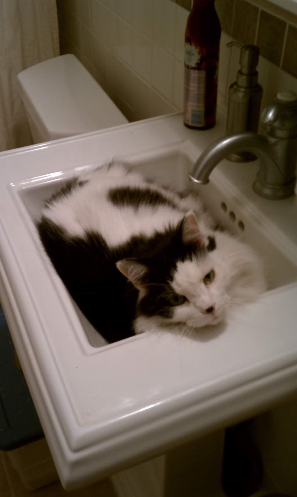 Matthew C. Halbert for Bexar County W.C.I.D. #10, Windcrest Texas