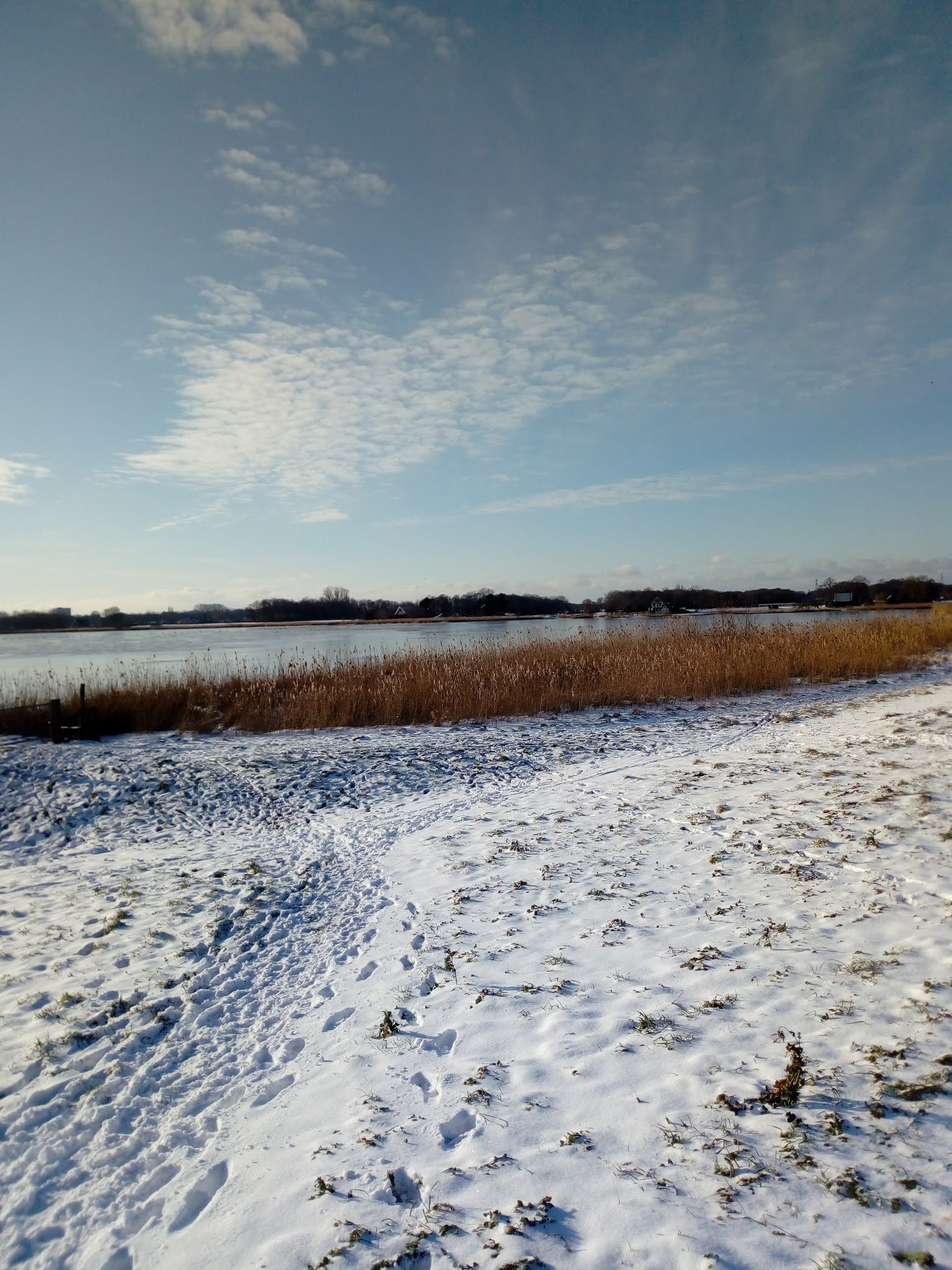 Bert Breed: Sneeuwduinen en zwart ijs