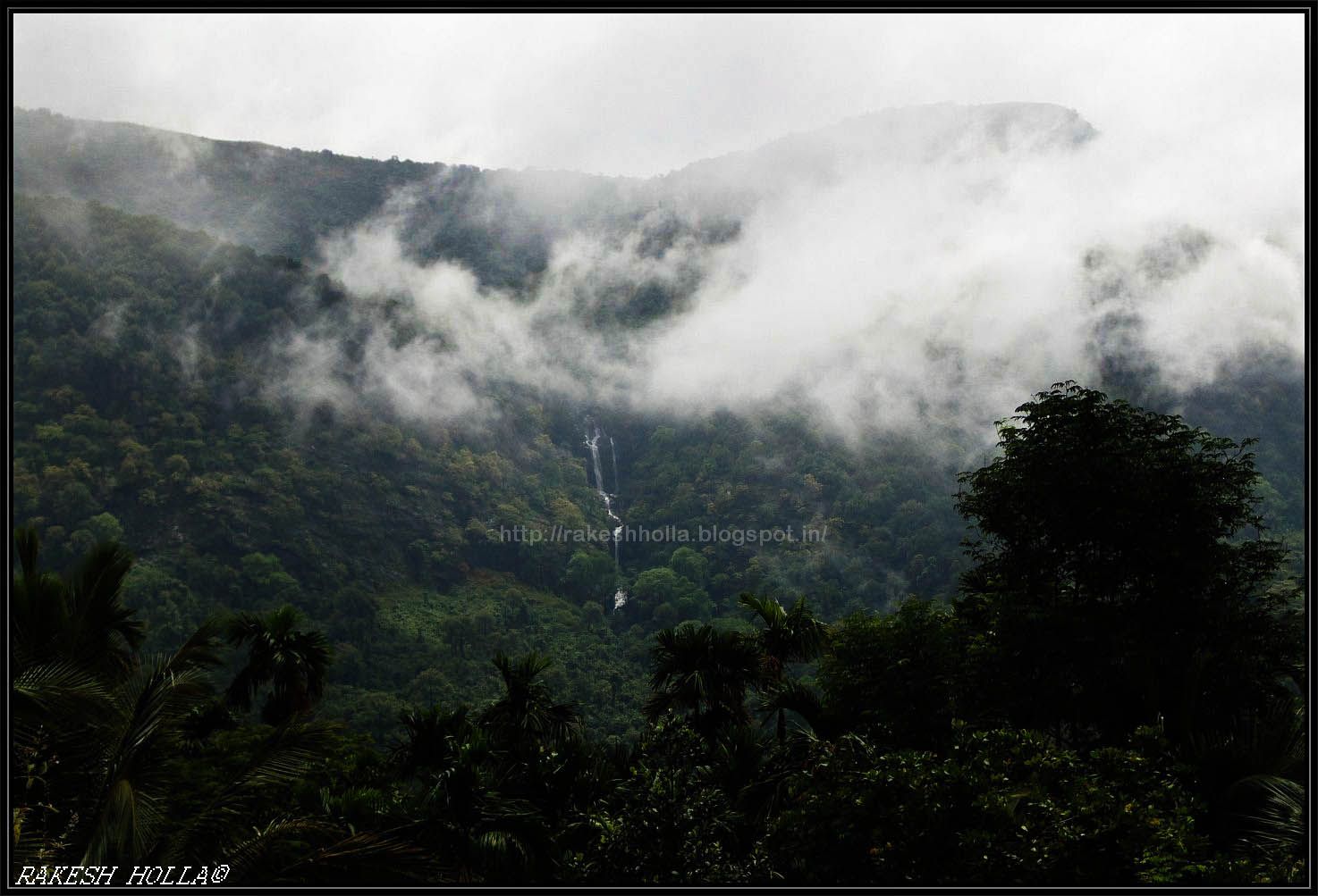 The Voice of Greenery - Trekking and Travelling in Western Ghats ...