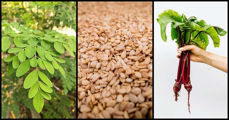 Anemia 5 Awesome Natural Remedies To Boost Our Iron Levels Dr Farrah Md