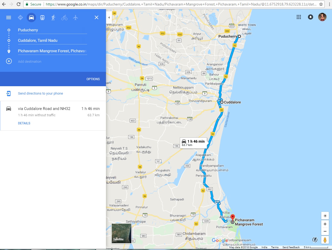 Pichavaram Mangrove Forest