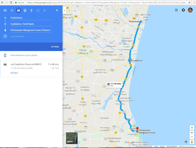 Pichavaram Mangrove Forest