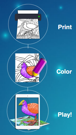 QUIVER COLOURING IN EDUCATION