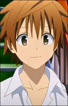 AnimeFH: Rito (To Love Ru)