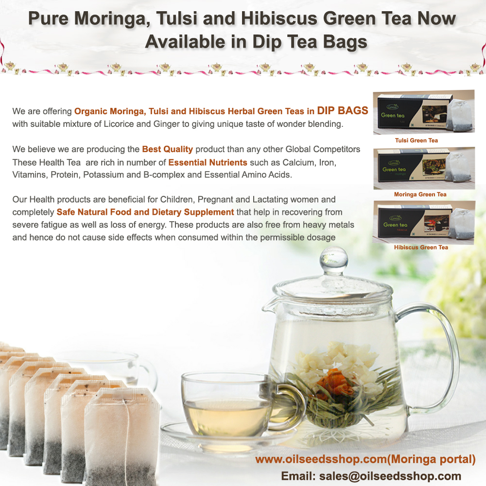 GENIUS MORINGA: Dip Tea Bags