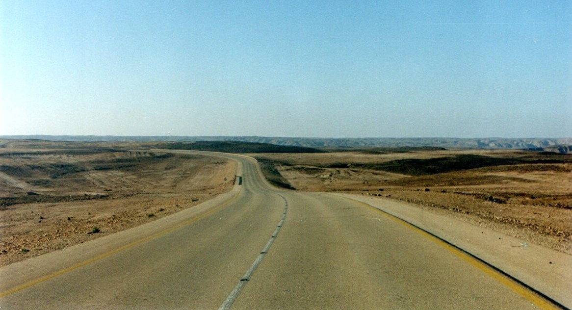 Jacques Louvain: Cédric Merland, Les arbres écrivent aussi (après)