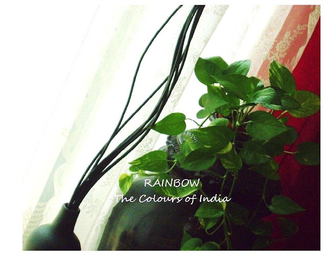 RAINBOW - The Colours of India: After a splash of rain...