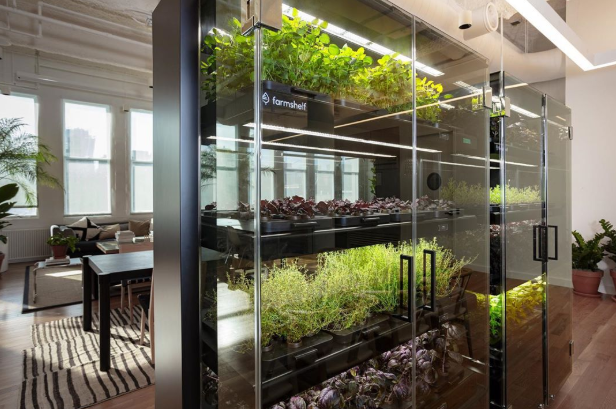 Plant Vegetables In Your Living Room With Farmshelf | Tekkaus ...