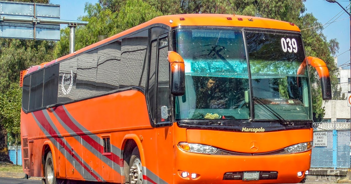 MAXIBUSES: AUTOBUS TURÍSTICO (TURISMO)