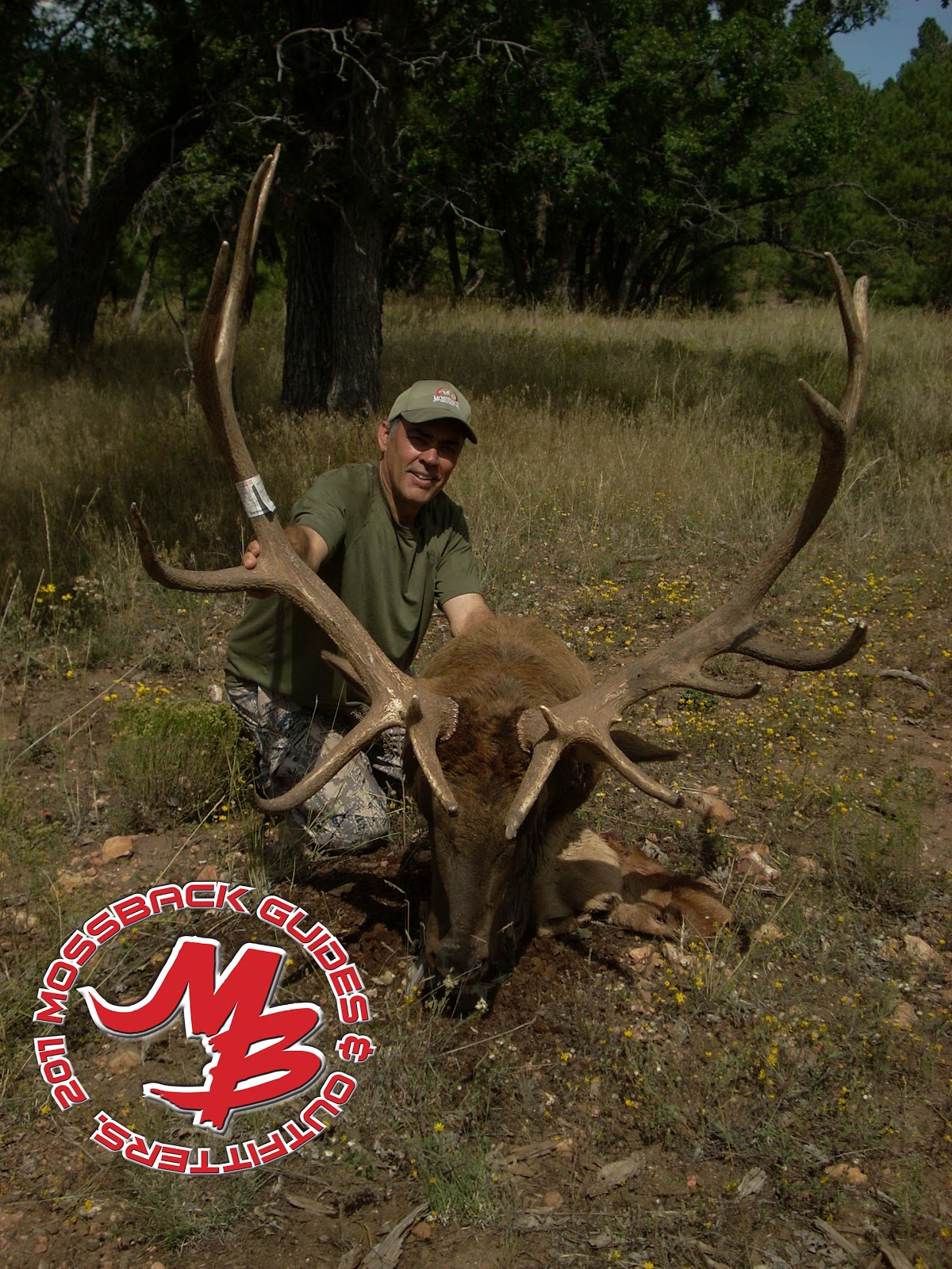 A3 Trophy Hunts LLC : 2011 Arizona Elk