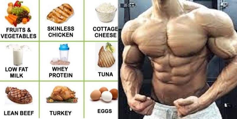 Best Diet Plan For Getting Shredded – Eating For Lean Muscle