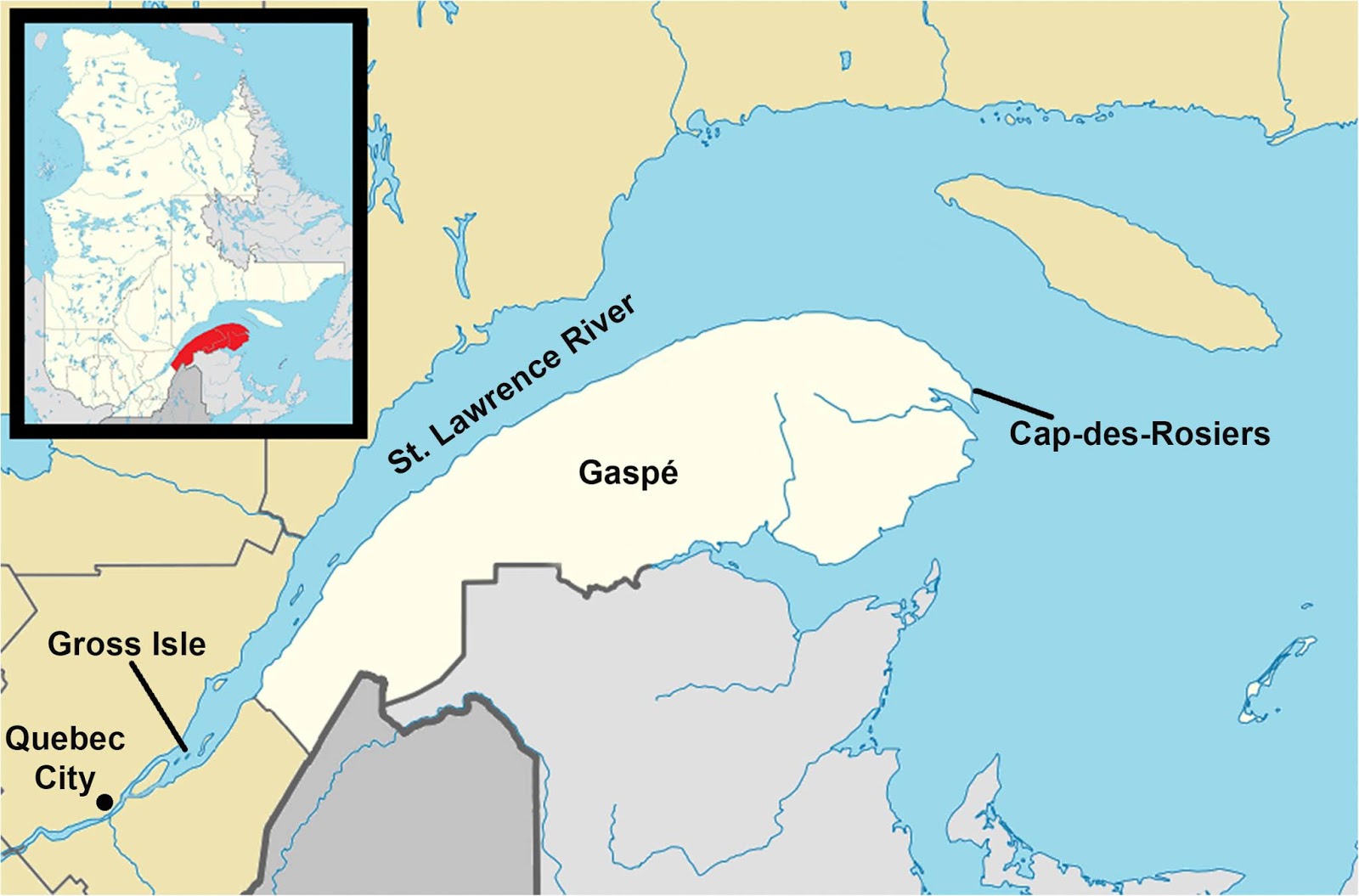 Mother Nature's Tests: The Madness of Mother Nature: Wreck of the Irish ...