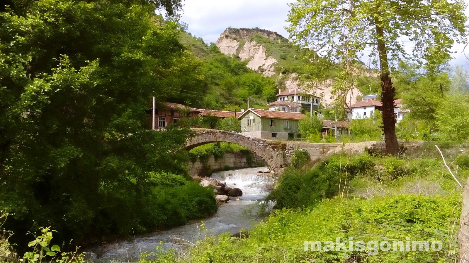ΓΟΝΙΜΟ-live: ΜΕΛΕΝΙΚΟ,ΤΟ ΠΛΟΥΣΙΟΤΕΡΟ,ΟΜΟΡΦΟΤΕΡΟ ΚΑΙ ΙΣΤΟΡΙΚΟΤΕΡΟ ...