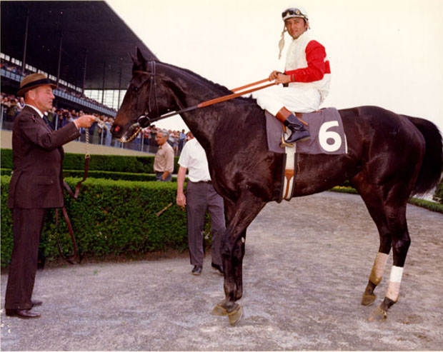 ThoroFan Blog: Handicapper's Corner: Ruffian Stakes (G1)