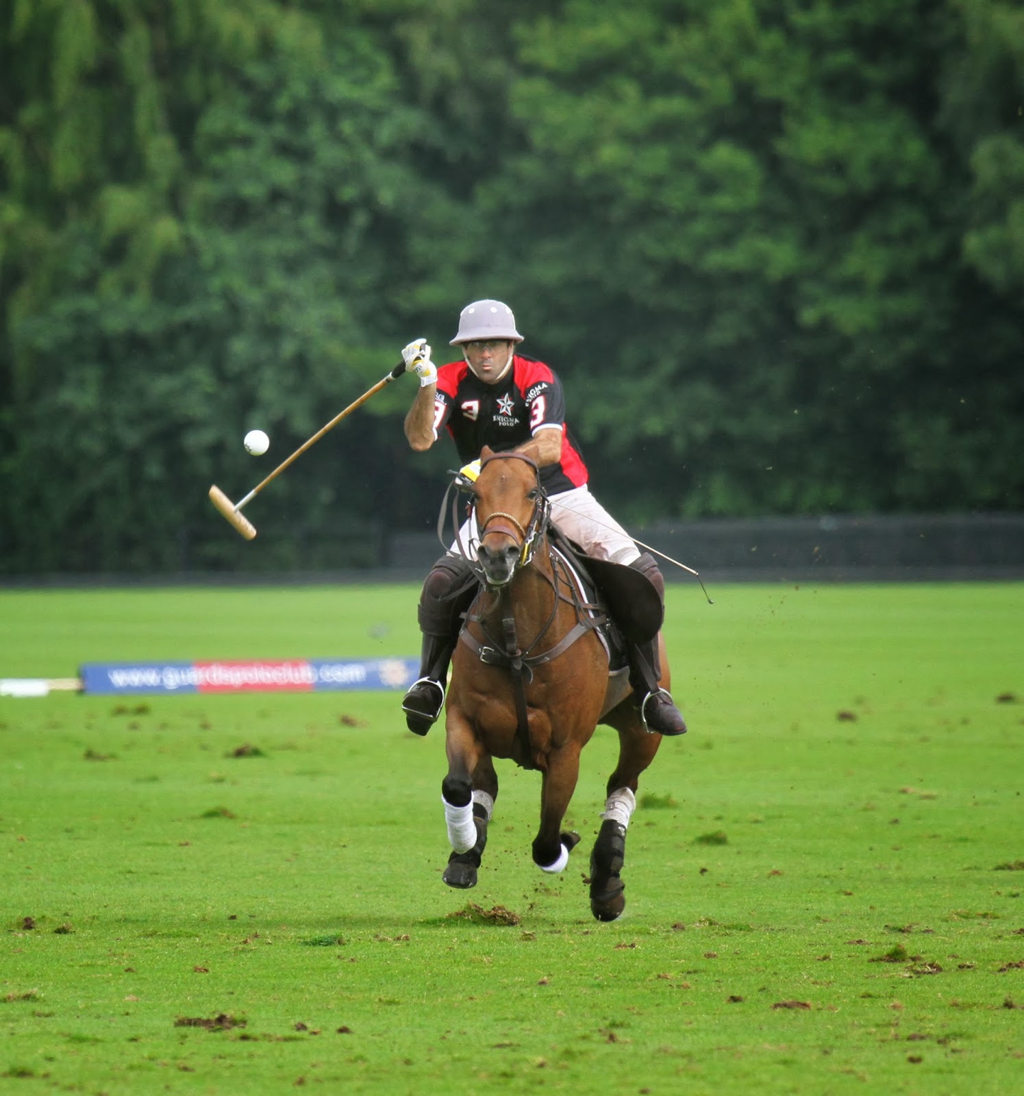 POLO - EL REY DE LOS DEPORTES: Jugadores más destacados de la historia