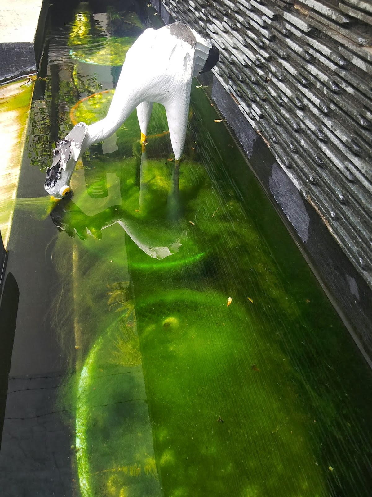 Anoxic Filtration System: Yogas Anoxic filter build part-2