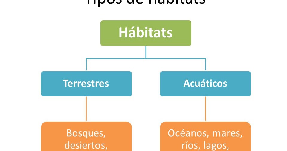 C NATURALES 4D: EL HÁBITAT Y TIPOS DE HÁBITAT