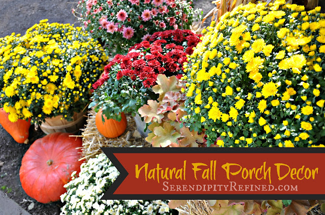 Serendipity Refined Blog: Red Yellow and Gray Fall Porch Decor