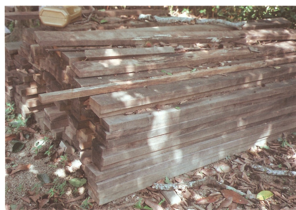 Tembesu: Kayu Tembesu