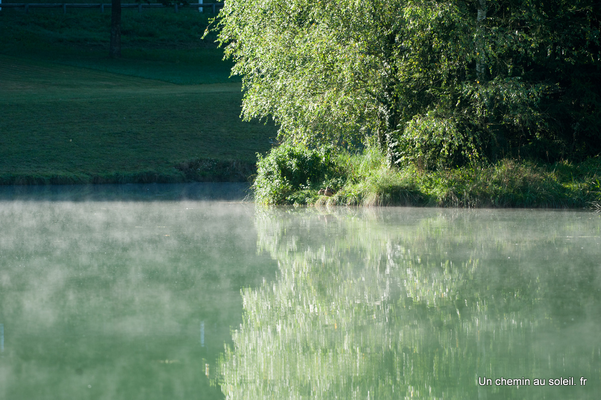 Un chemin au soleil: Allevard les bains, côté lac de la Mirande et ruisseau