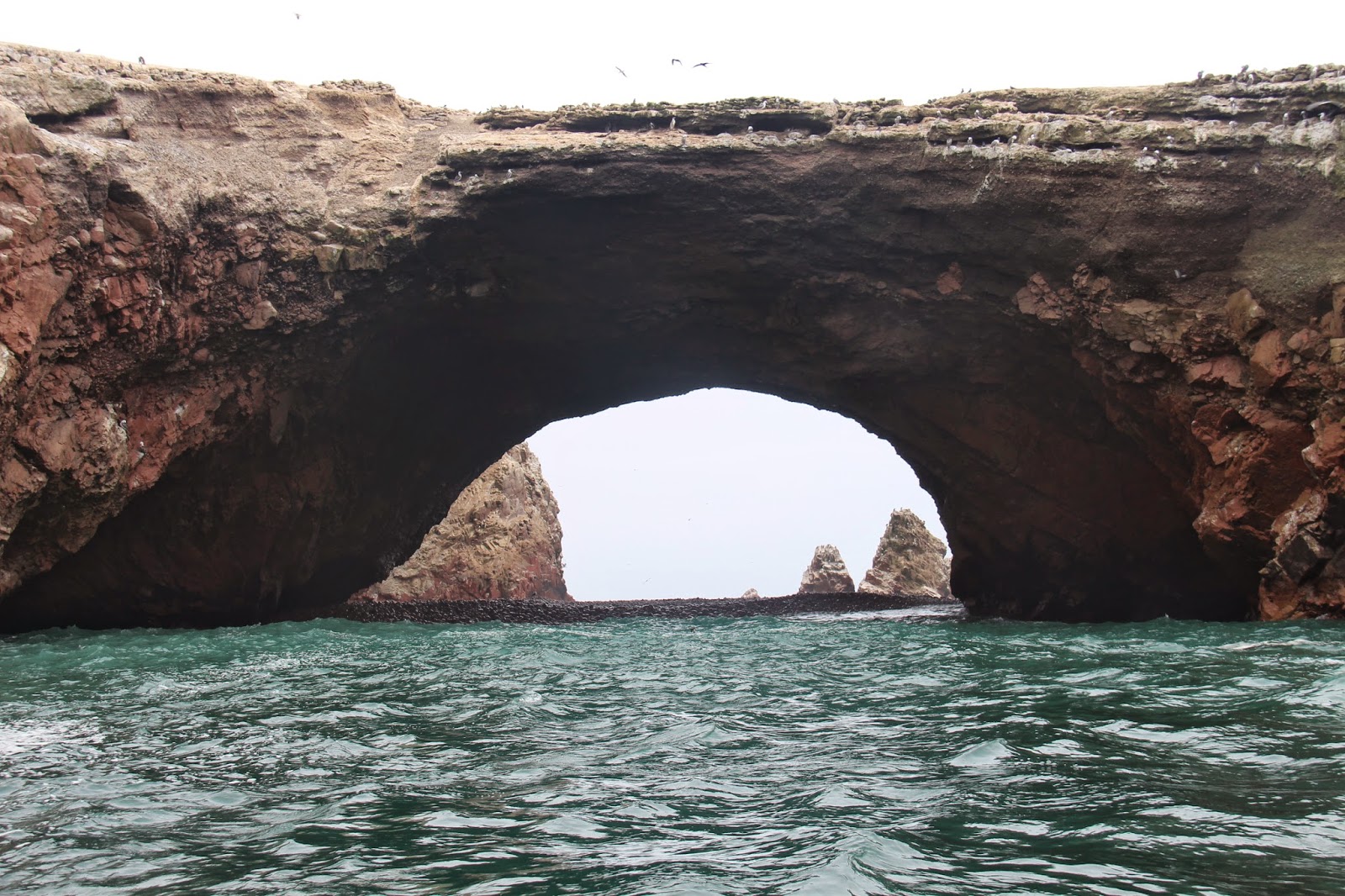 Peru: Paracas e Islas Ballestas | Apaixonados por Viagens | Roteiros e ...
