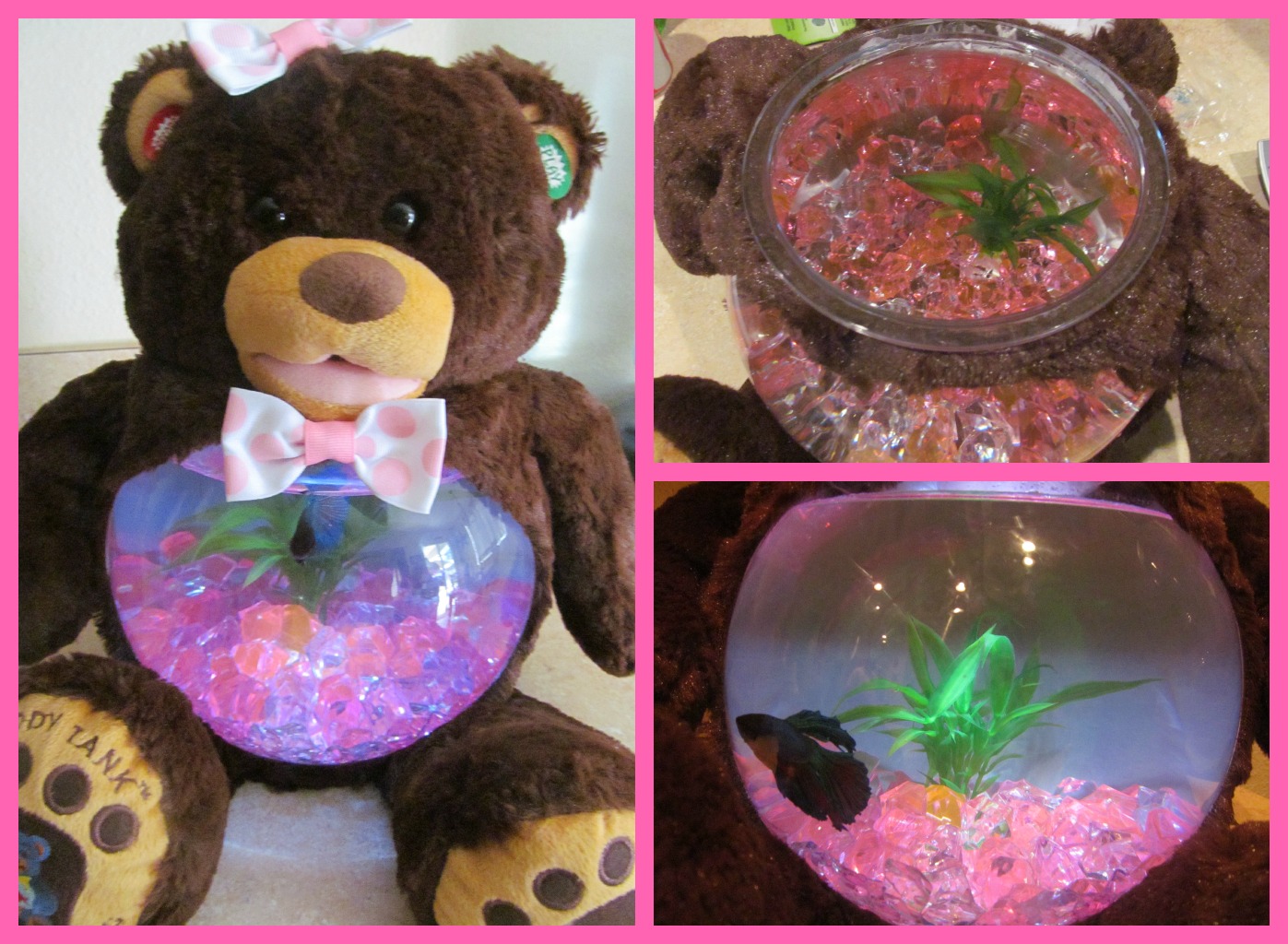 Here is video to also show you how to set up your Teddy Tank.