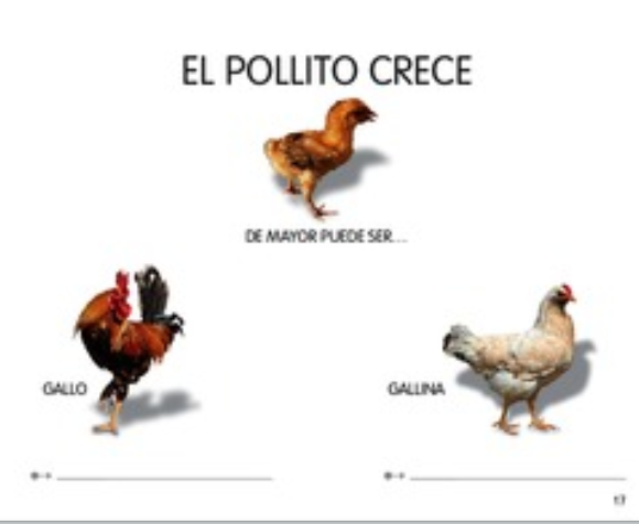 Educación Infantil, 3, 4 y 5 años. Colegio de Piornal (Cáceres ...