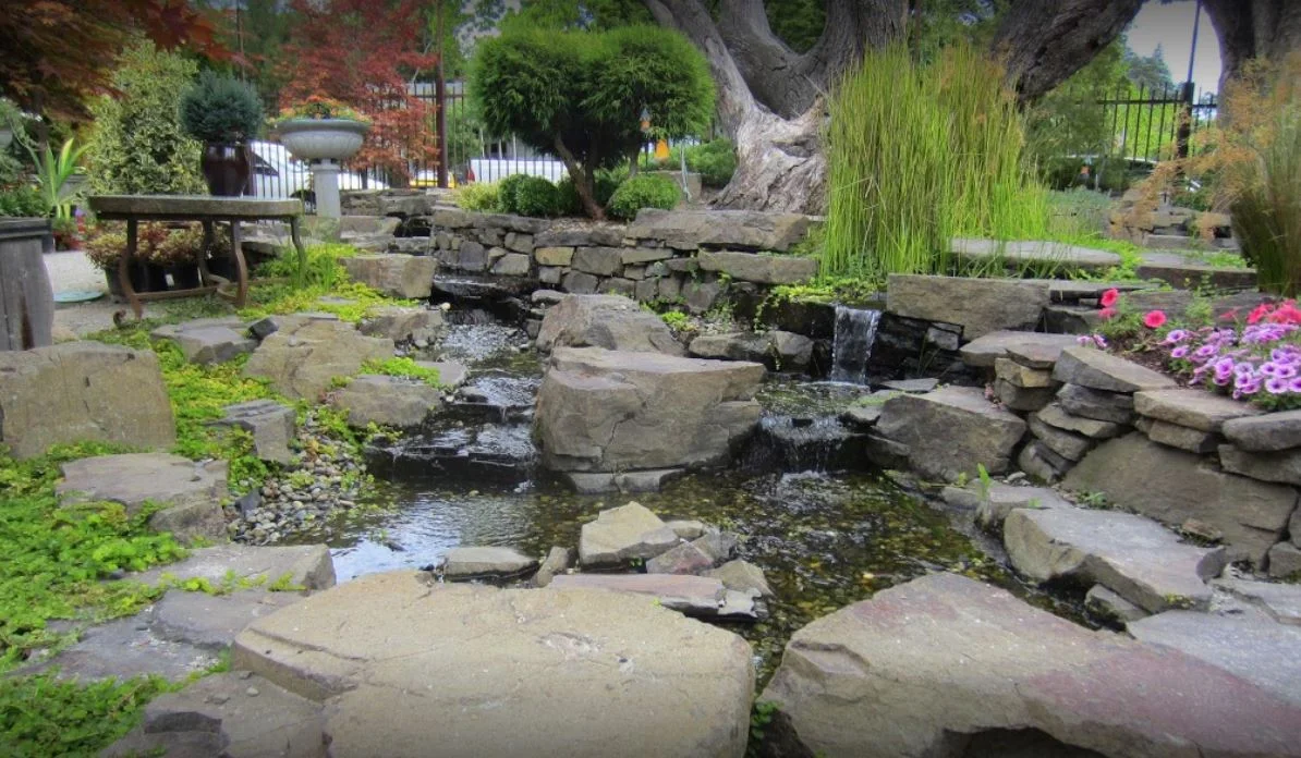 Nursery at High Hand | Life and Linda