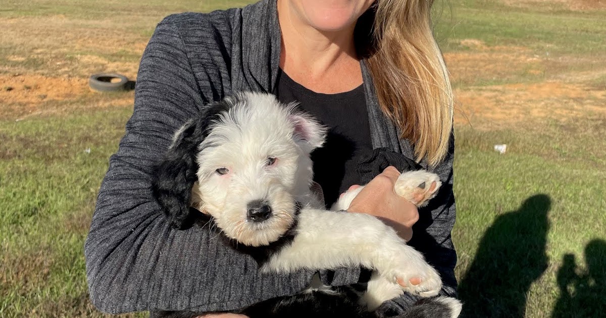 Jenni's Blog: ELLIE BOO!