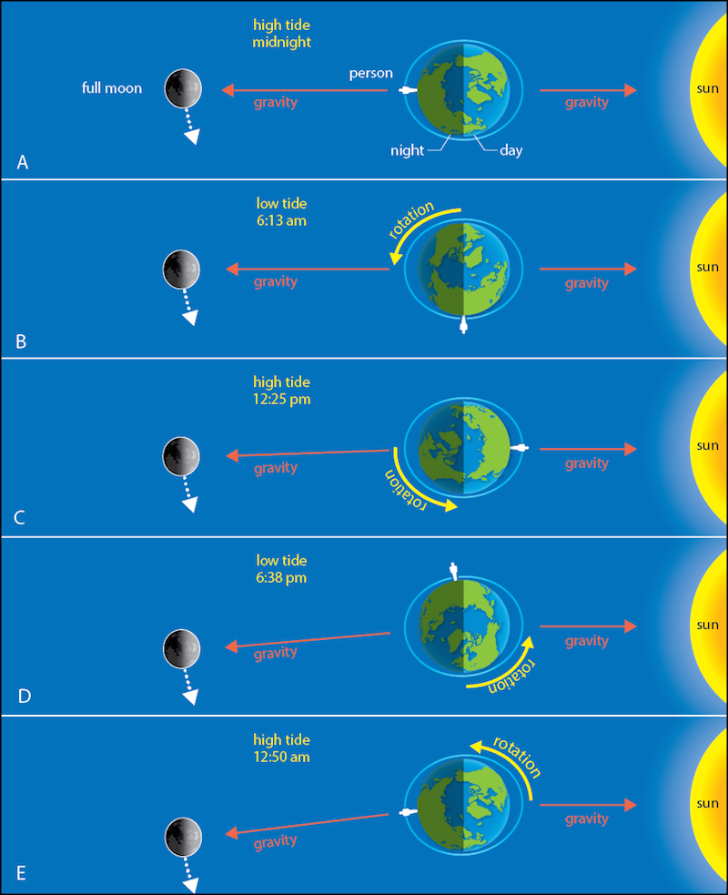 Positive and Negative Impact of Tide