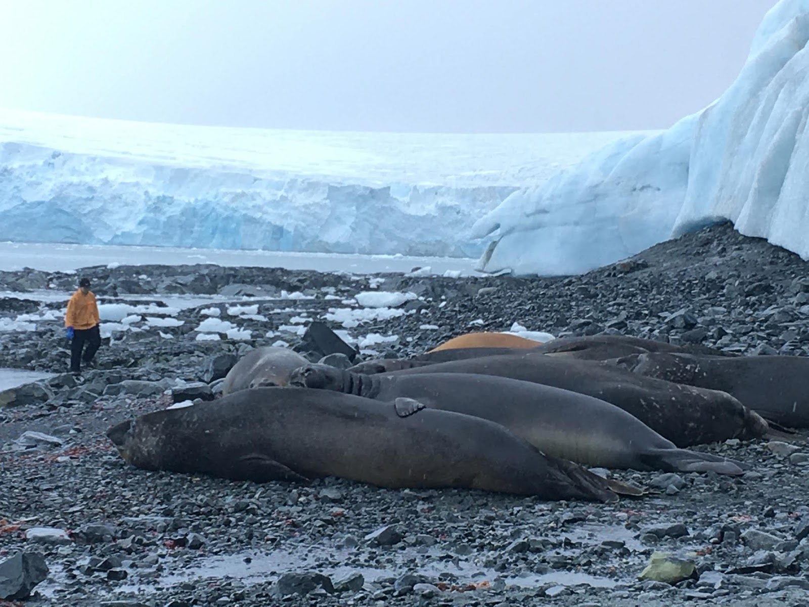 The World is Our Oyster: Pi Island, again