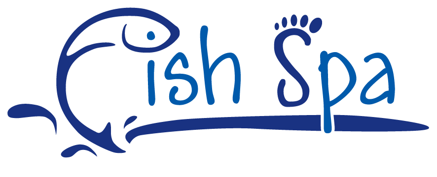 Fish Spa - Be Glossy In and Out!