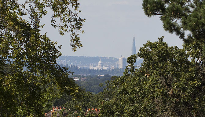 Keston Windmill | Naturally