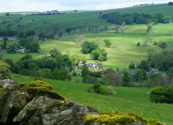 BEAUTY OF LAND: A beautiful scenaries of Illam tea state