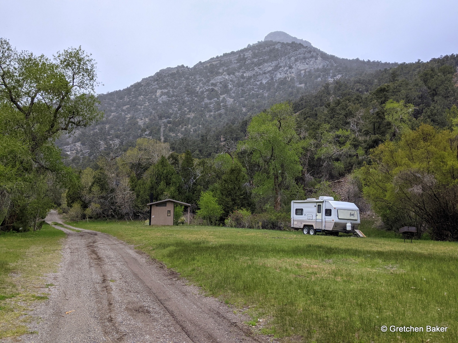 Desert Survivor: Kalamazoo Road, White Pine County, Nevada