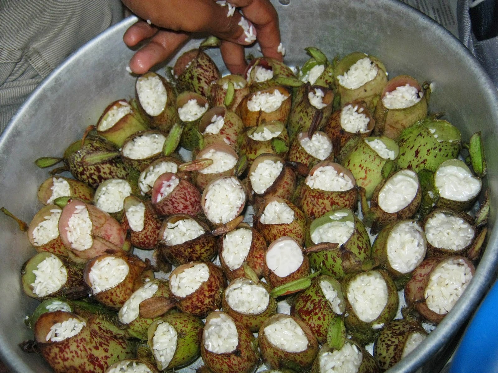 Recipe blog - Pitcher Plant Glutinous Rice