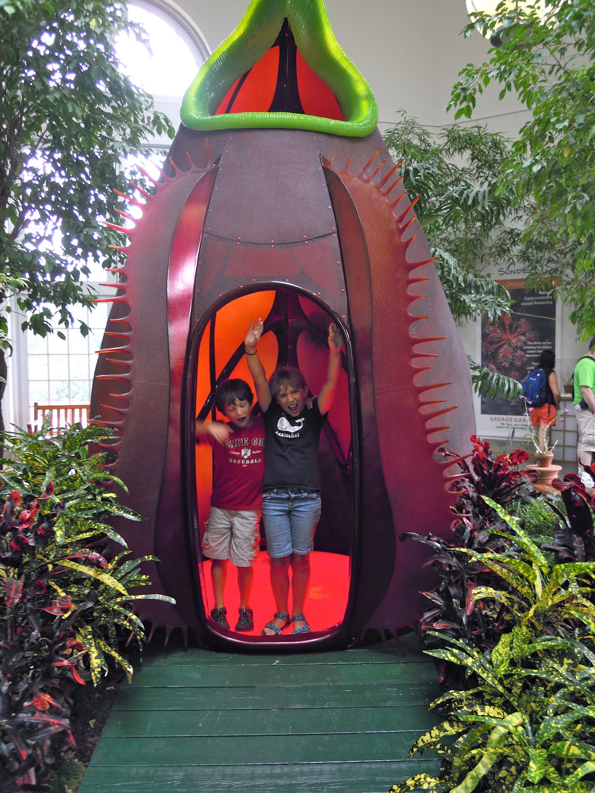 Marash Girl: Carnivorous Plant Exhibit, U.S. Botanic Gardens ...